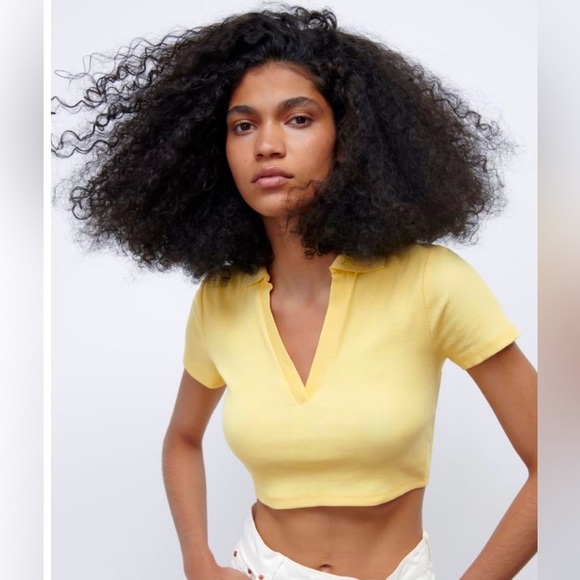 Zara | Tops | Zara Ribbed Polo Tshirt | Poshmark